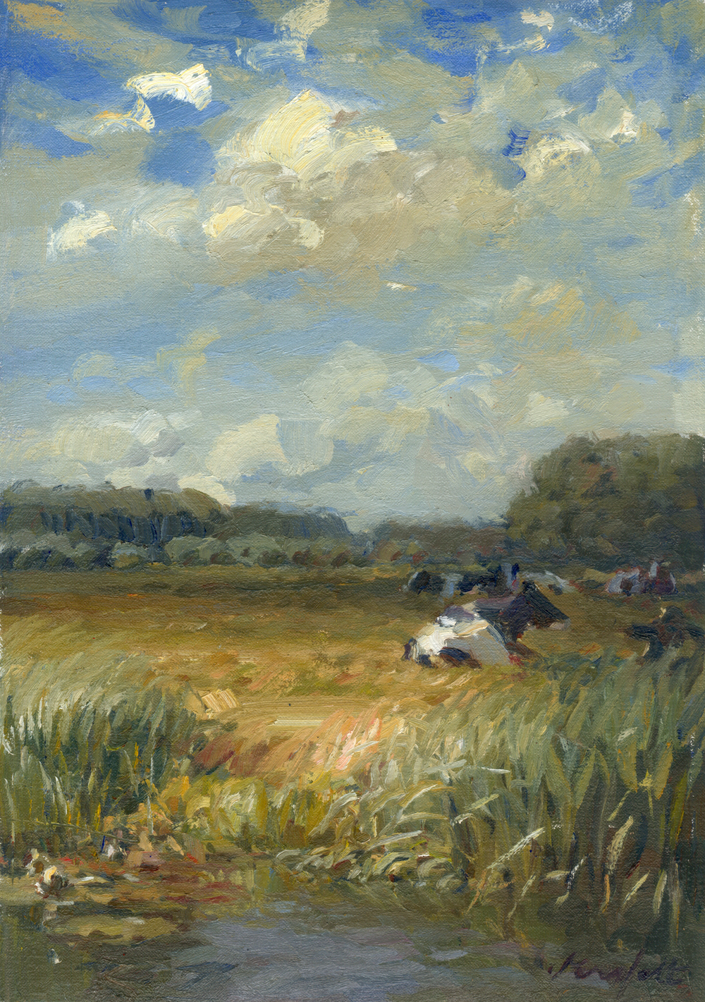 Zitten in de Zon: Hans Versfelt: serie met koeien