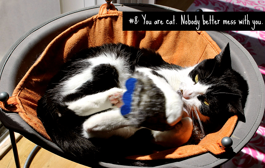 Momma Told Me: #YouGottaBeKittenMe: Catisms 101 + Wall Art Template