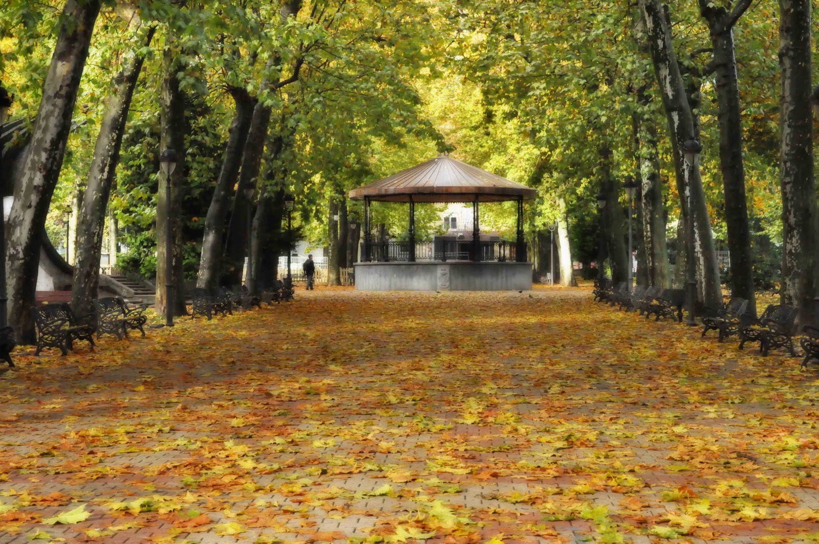 rivadeneyraprieto: Otoño urbano (el parque municipal de Béjar)