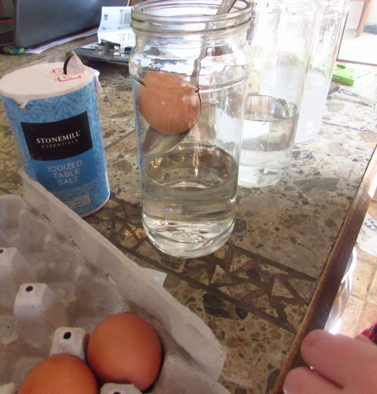Fleur de Lis Homeschool Blog: Apologia General Science Experiment 3.1 A ...