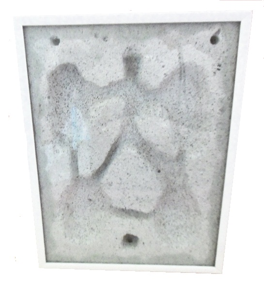 Compra la tua formica e il tuo formicaio per allevare una colonia di ...