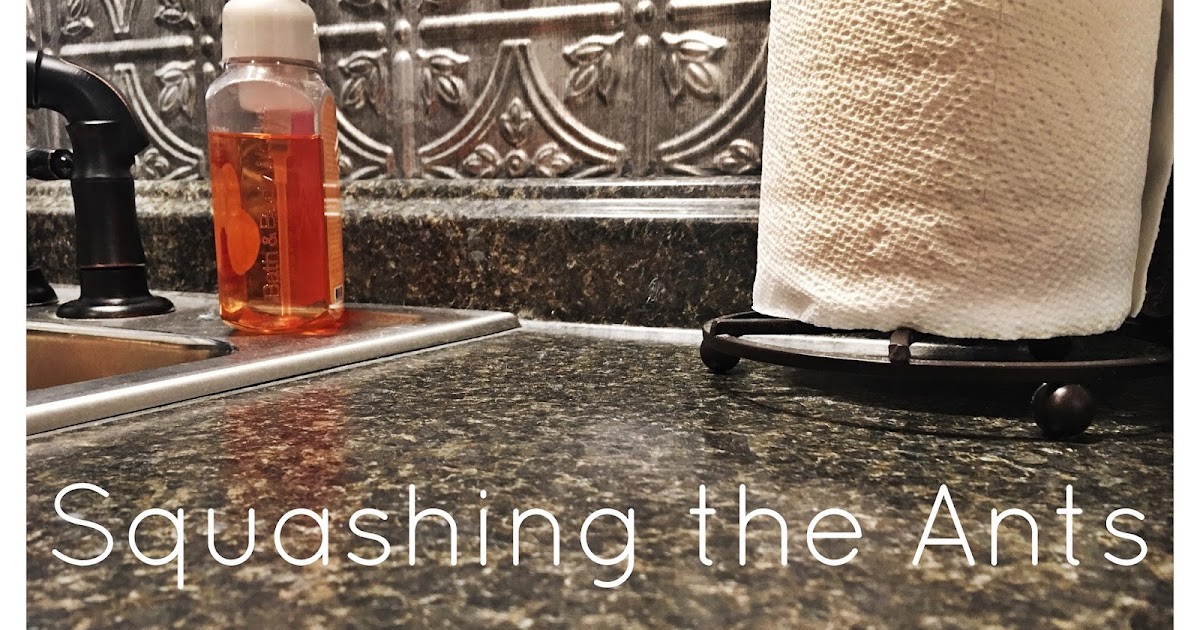 Squashing the Ants ~ Abby Writes