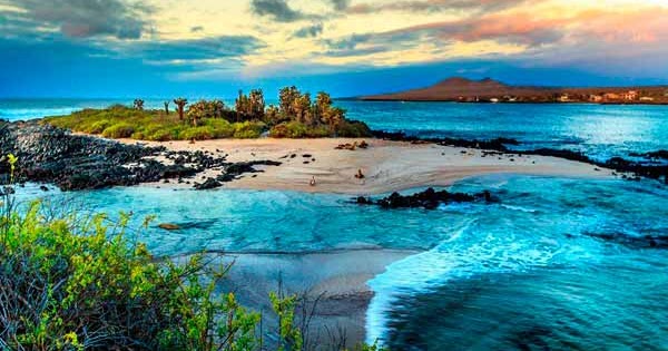 Islas Galápagos paquetes turísticos