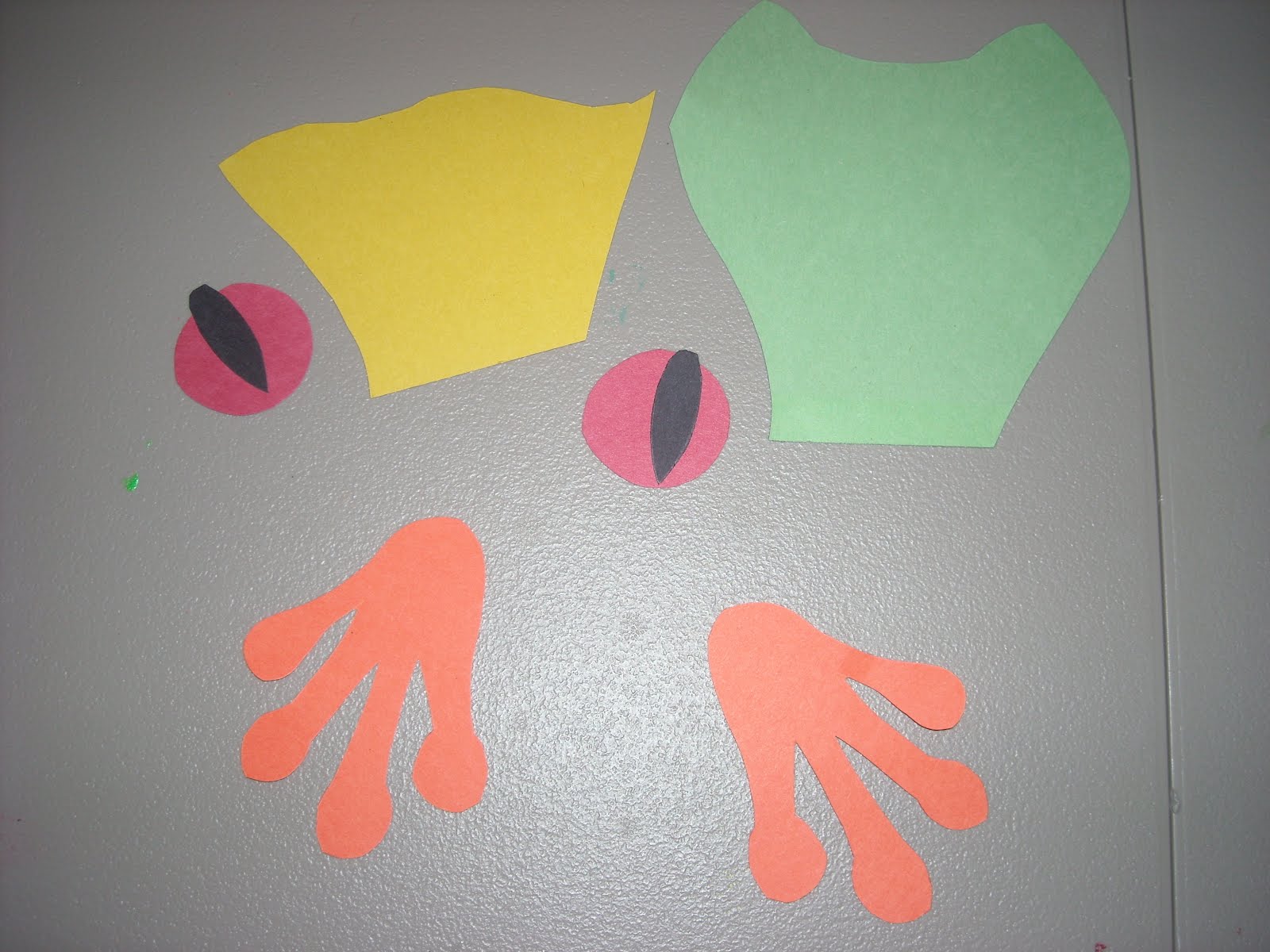 Patty's Project Ideas: Red Eyed Tree Frog