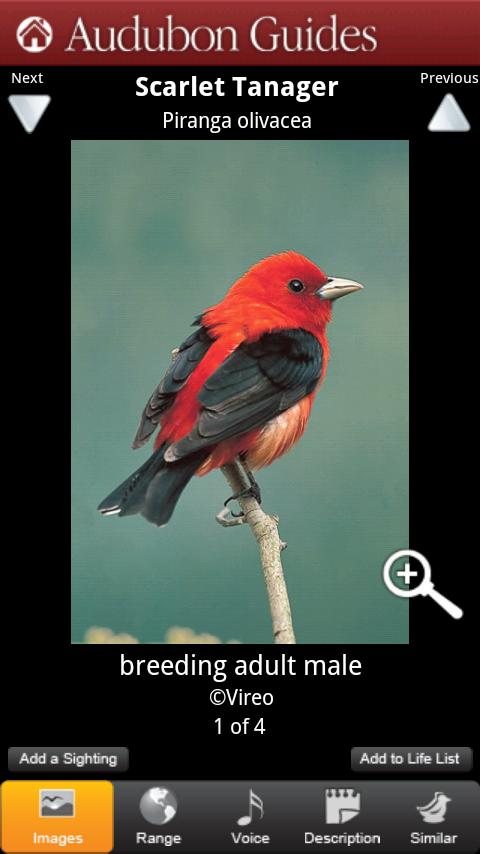 Birding Is Fun!: Review: Audubon Birds for Android