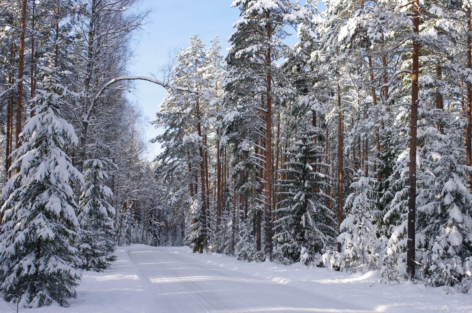Kalevi pildiblogi: Talvepildid 2017