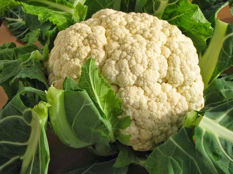 AJOBLANCOBLOG: Tots o como comer croquetas de coliflor sin enterarte