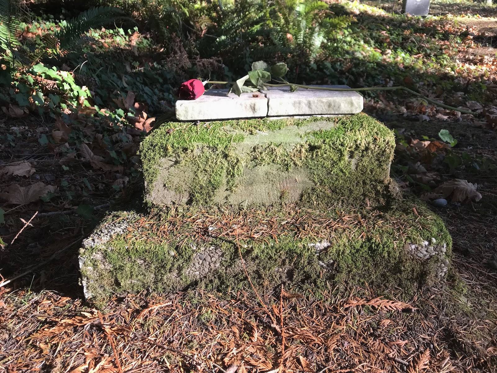 cemeteries i have known and loved