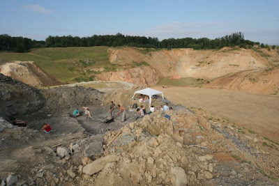 Species New to Science: [Paleontology • 2012] Pannoniasaurus ...