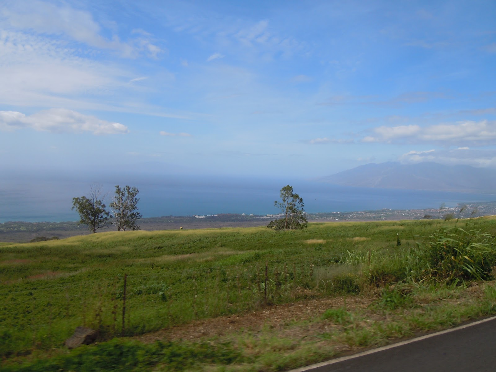 Maui Oceanview Condos: 50th Anniversary of Maui's Ulupalakua Ranch