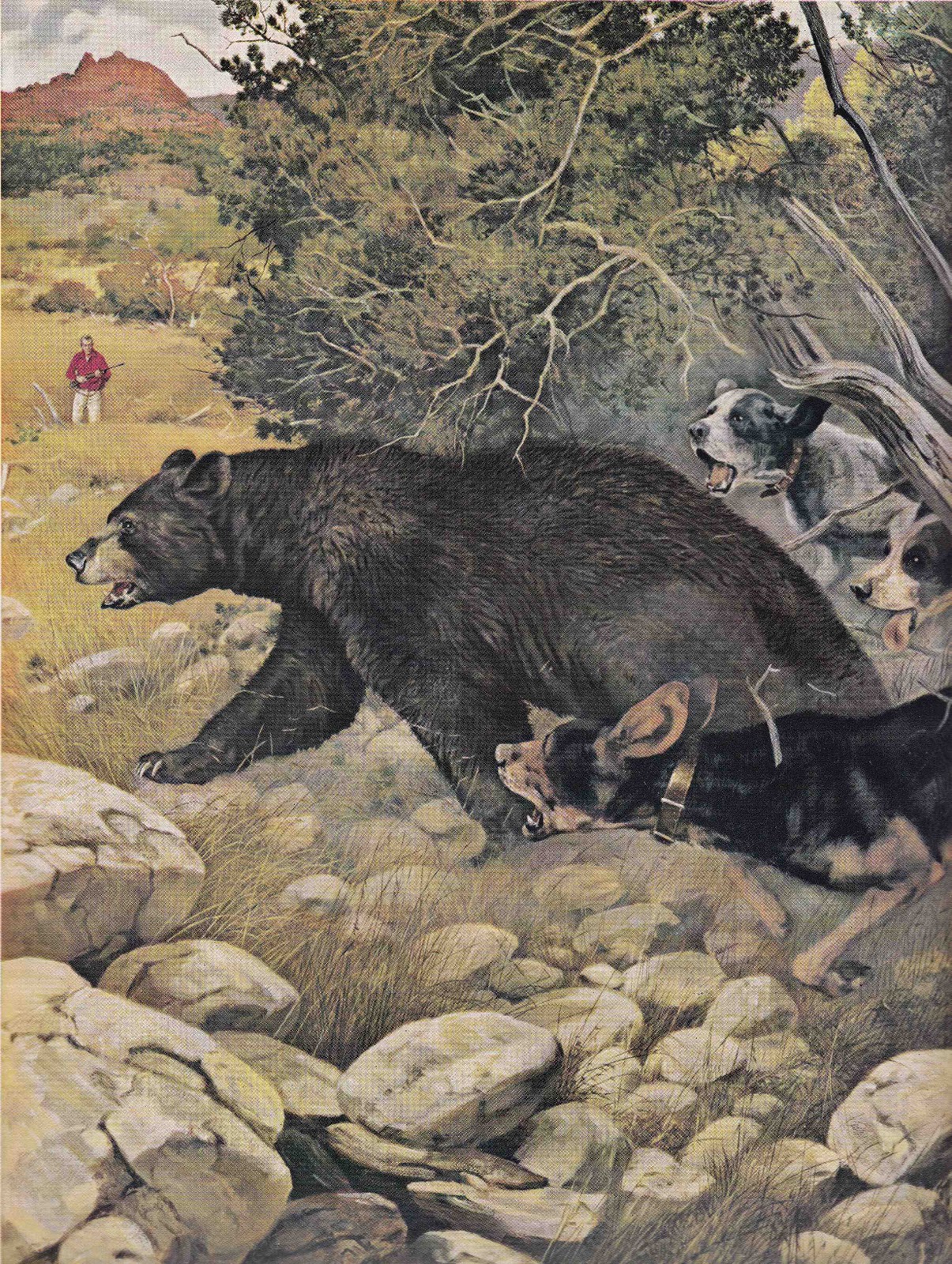 Into The Wild: Douglas Allen Part Two