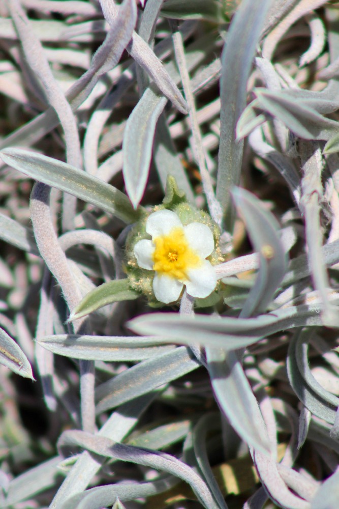 The Field Lab: Groundhog Day