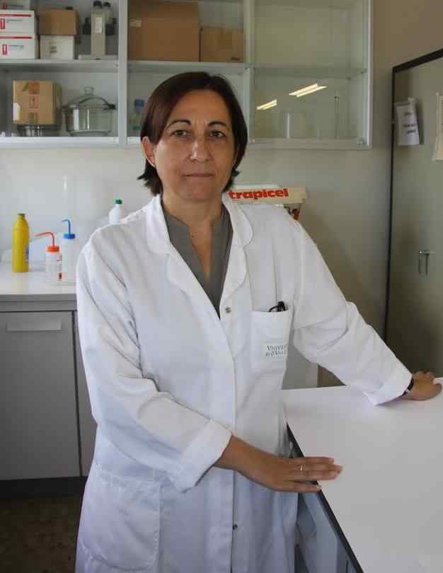 Ataxias Galicia: María Dolores Moltó: “La investigación en ataxia de ...