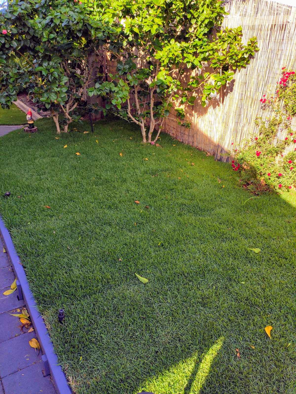 Maxpro 10kg Natural Pebble Resurfacer $10 (Was $49), Maxpro 10kg Black ...