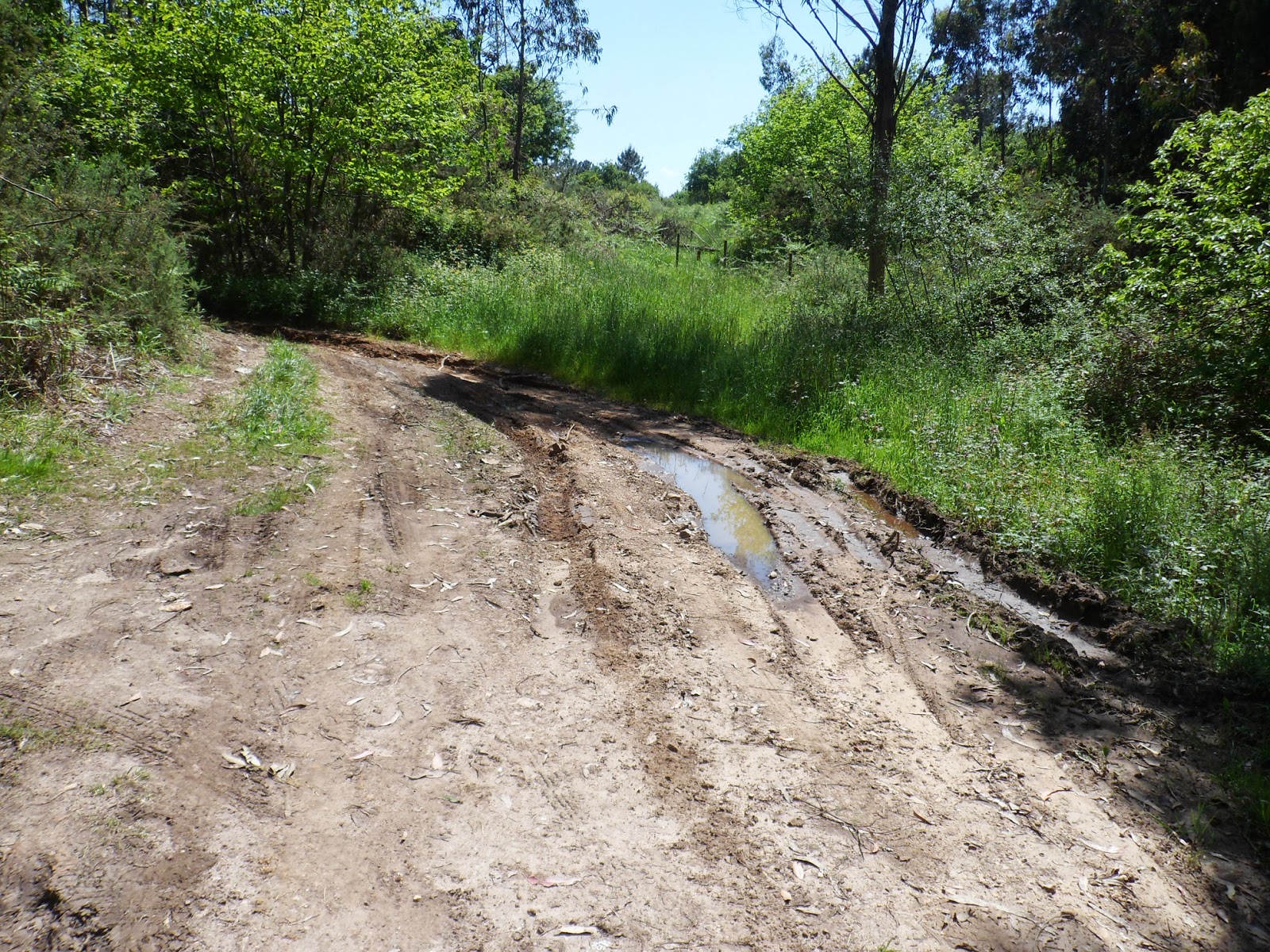 Senda BTT: Apeadero FEVE de Avilés - Embalse de Trasona - Monte'l Pando ...