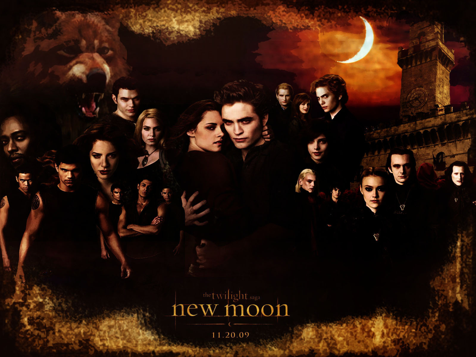 Angel: Vidios and Pictures Twilight Saga