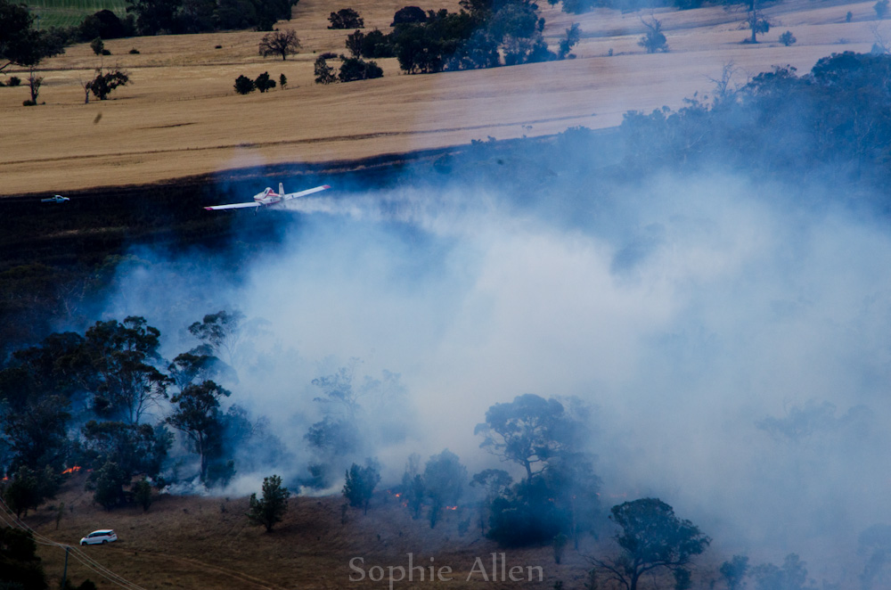 iSophie: The -worst- day ever! (Bushfires)