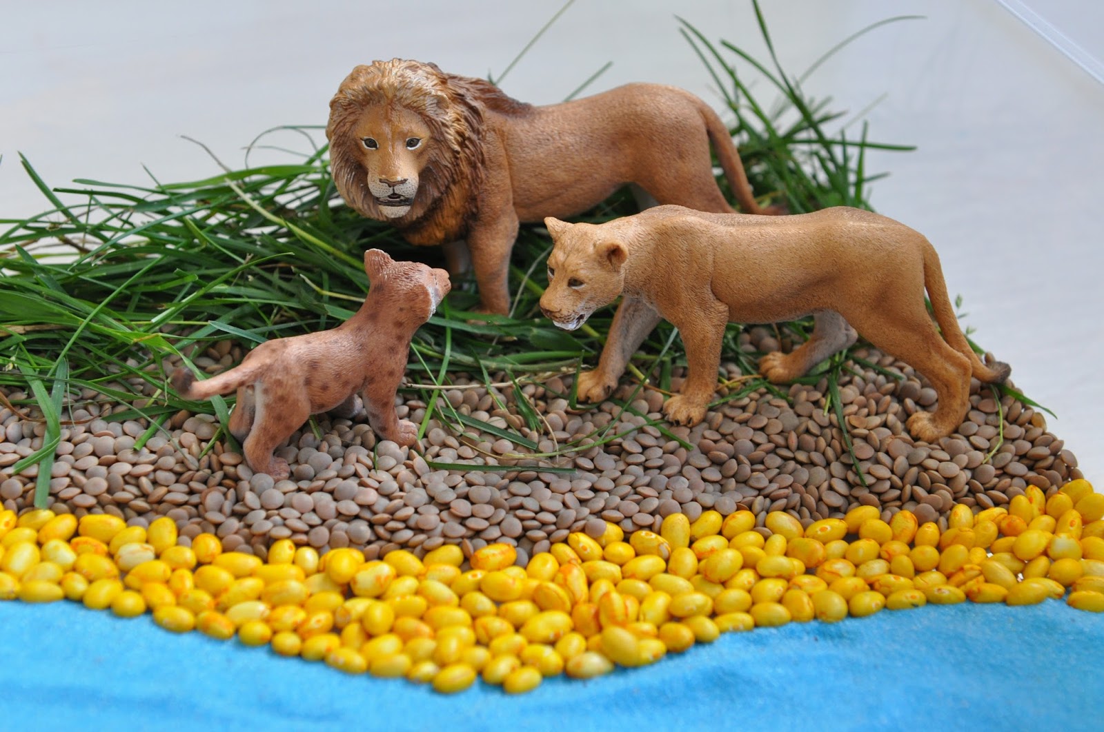 Creative Projects for Kids: African Savannah Sensory Bin