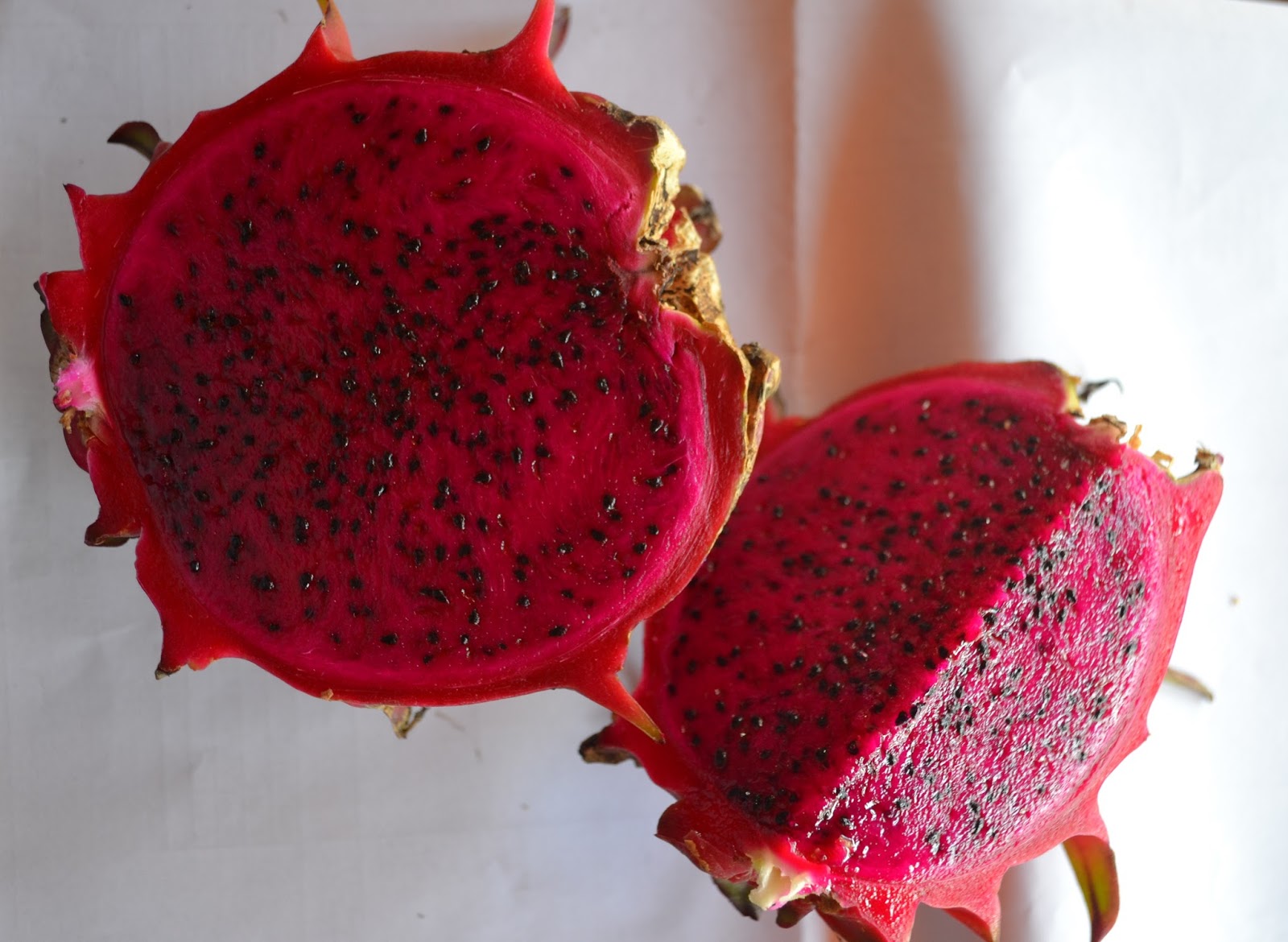 Pitaya Polpa Roxa (Hylocereus polyrhizus)