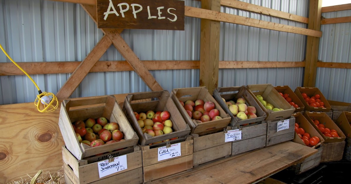 Autumn Walk @ Emerson: Gorman Farm