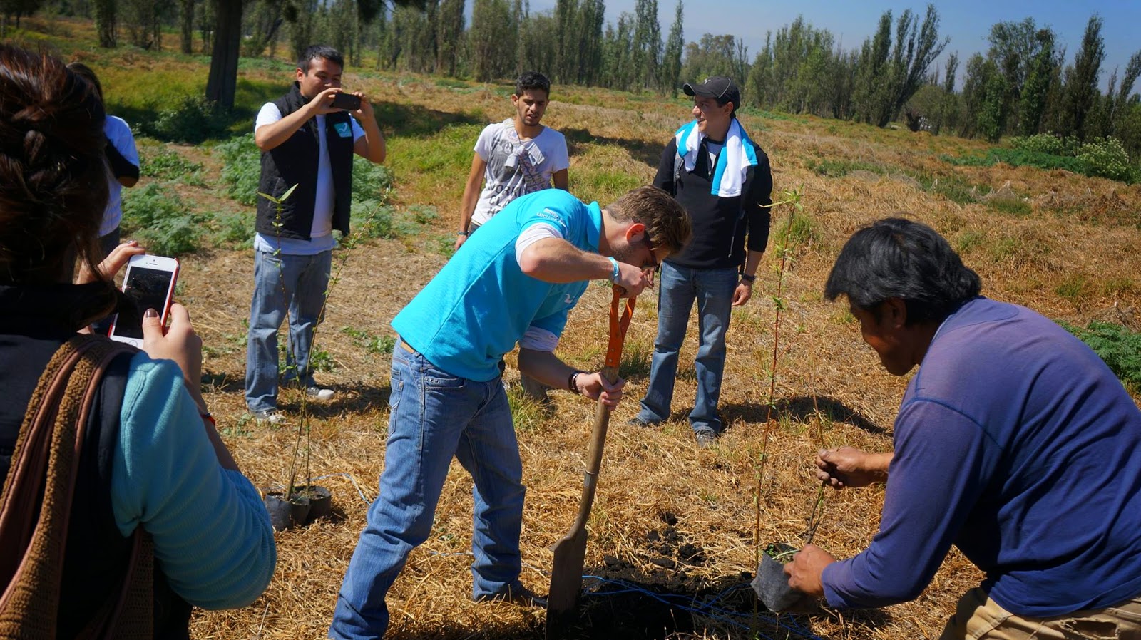 NUEVA ALIANZA CIUDAD DE MÉXICO: Reforestación de ahuejotes