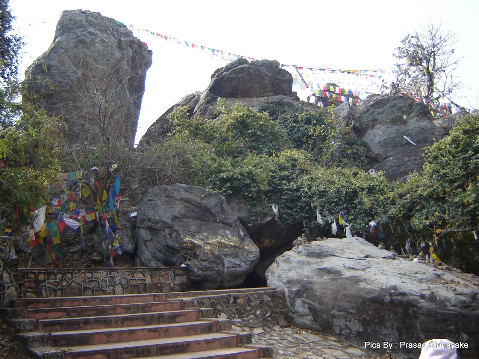 Pilgrimage to Dambadiva 2012: Rajagaha