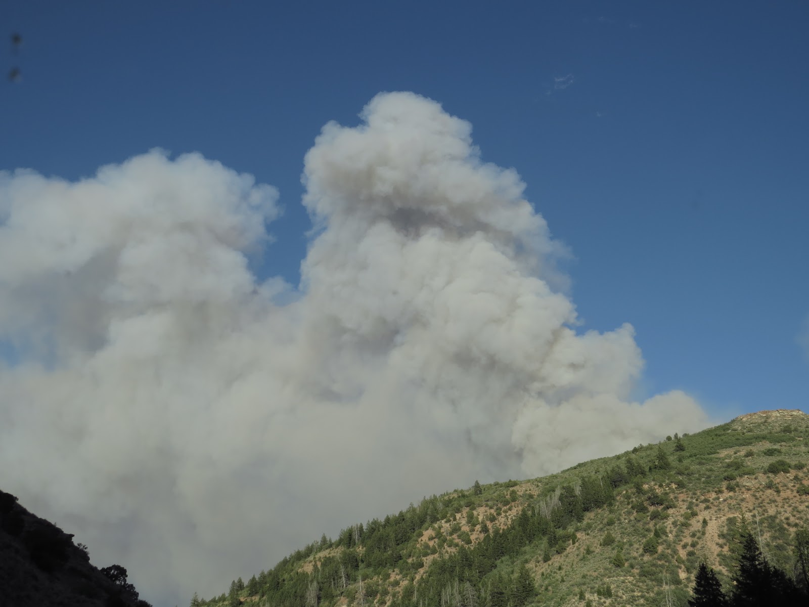 RMSO Bigfoot: Forest Fire Sasquatch Canyon