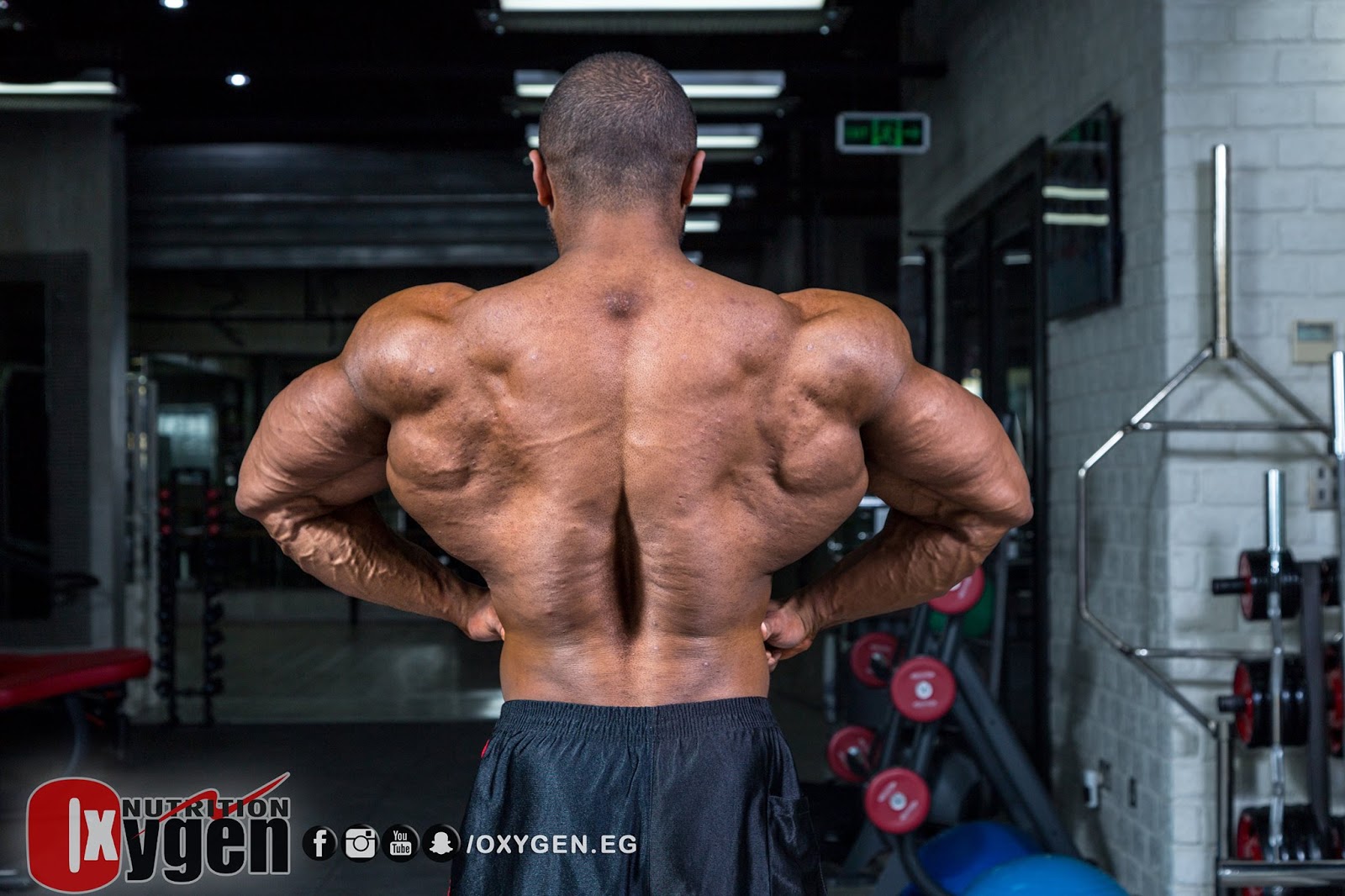 Muscle Lover: Egyptian IFBB Pro bodybuilder Ahmed Shams