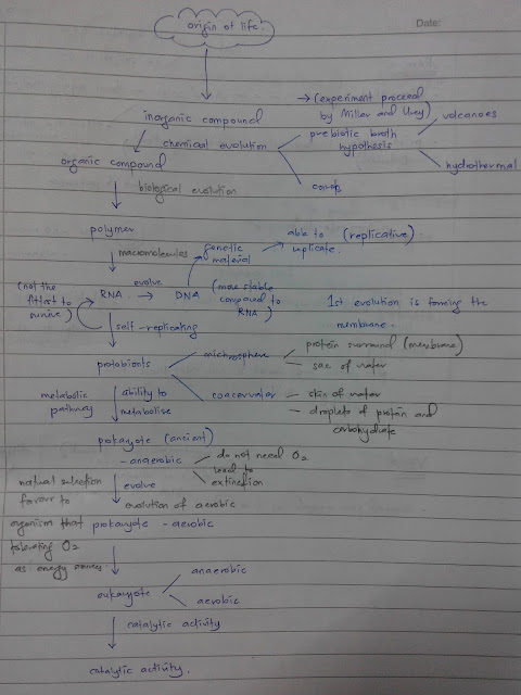 Cell and Development Biology : WEEK 3 - Topic 2: History Of Life Part ...
