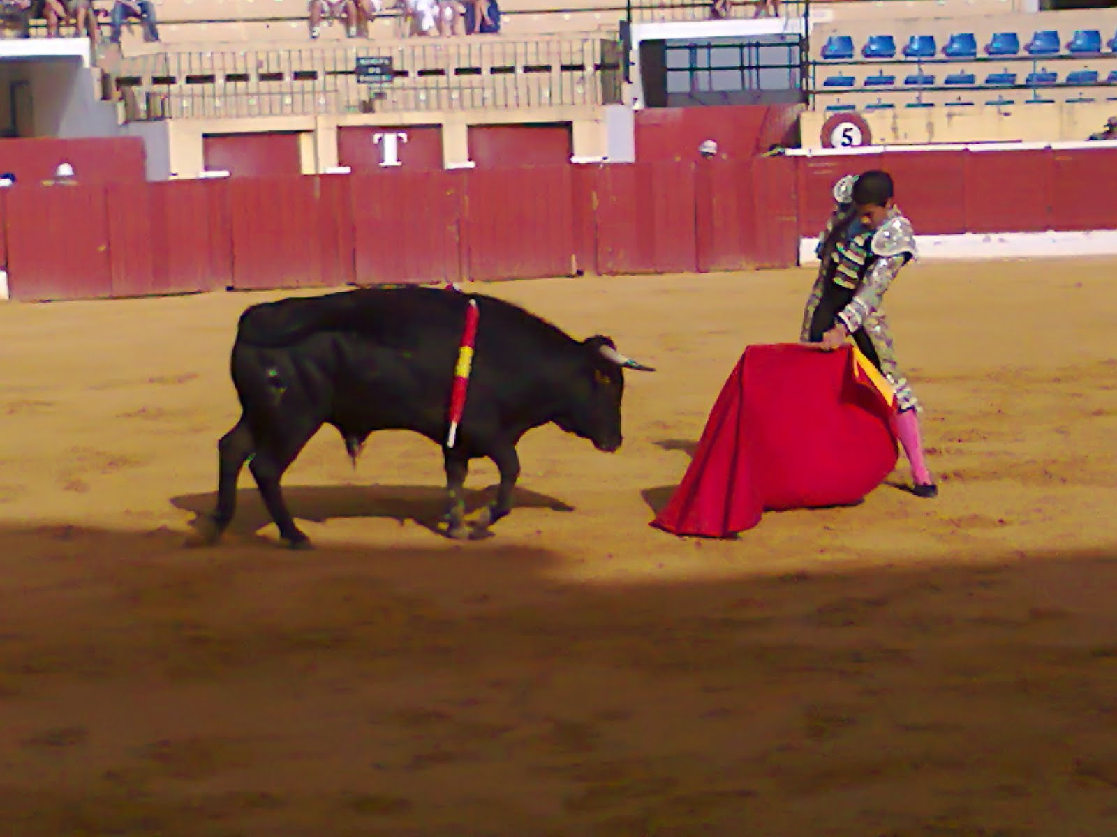 LOS TOROS CON AGUSTÍN HERVÁS.: UN NOVILLO DE VACAS DE EL RODEO