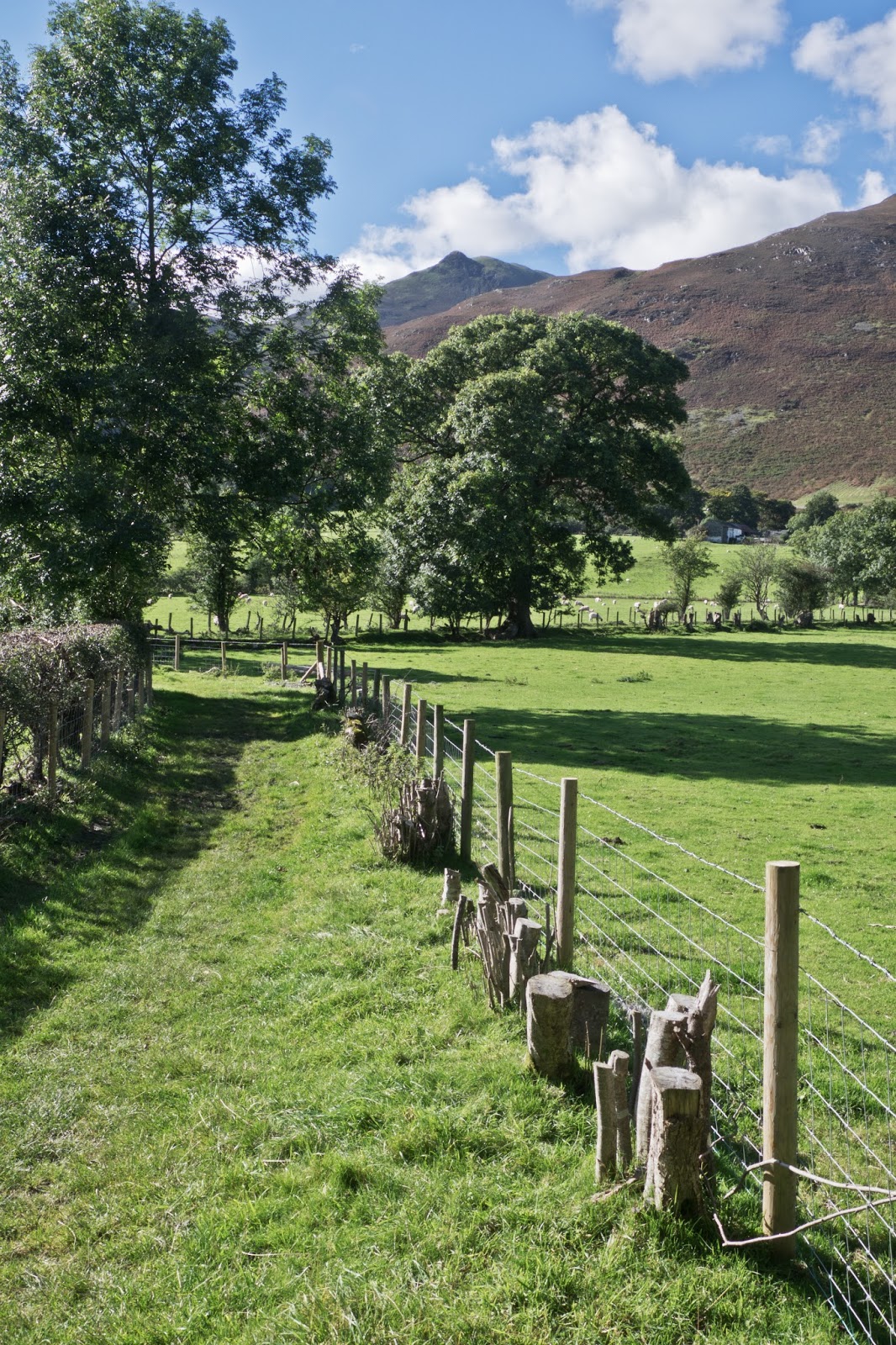 Wigtwizzle - Norman Smith's Travel Blog.: Newlands Valley and a pint in ...