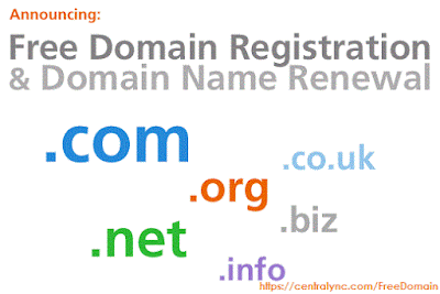 Logo Design | Free Domain Name