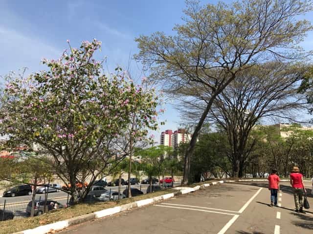 Parque CERET - Centro Esportivo, Recreativo e Educativo do Trabalhador ...