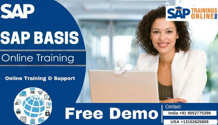 SAP BASIS Online Training: SAP BASIS Training | Introduction to ...