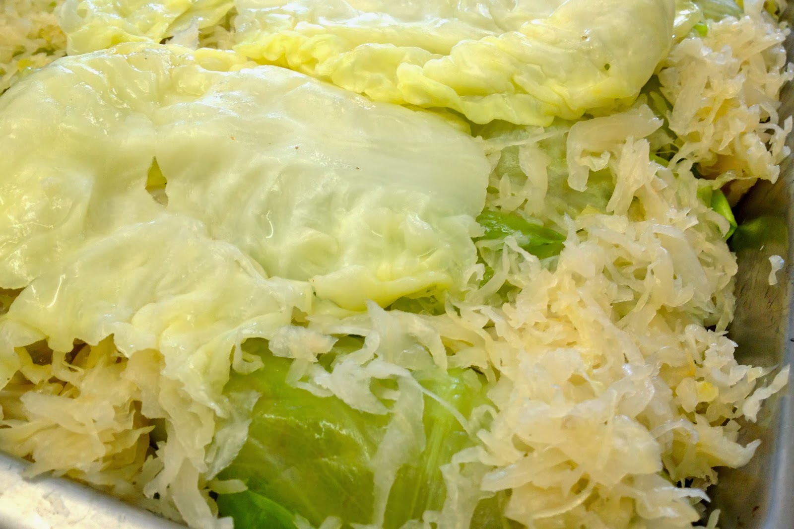 One Classy Dish: Sarma - Stuffed Cabbage Roll