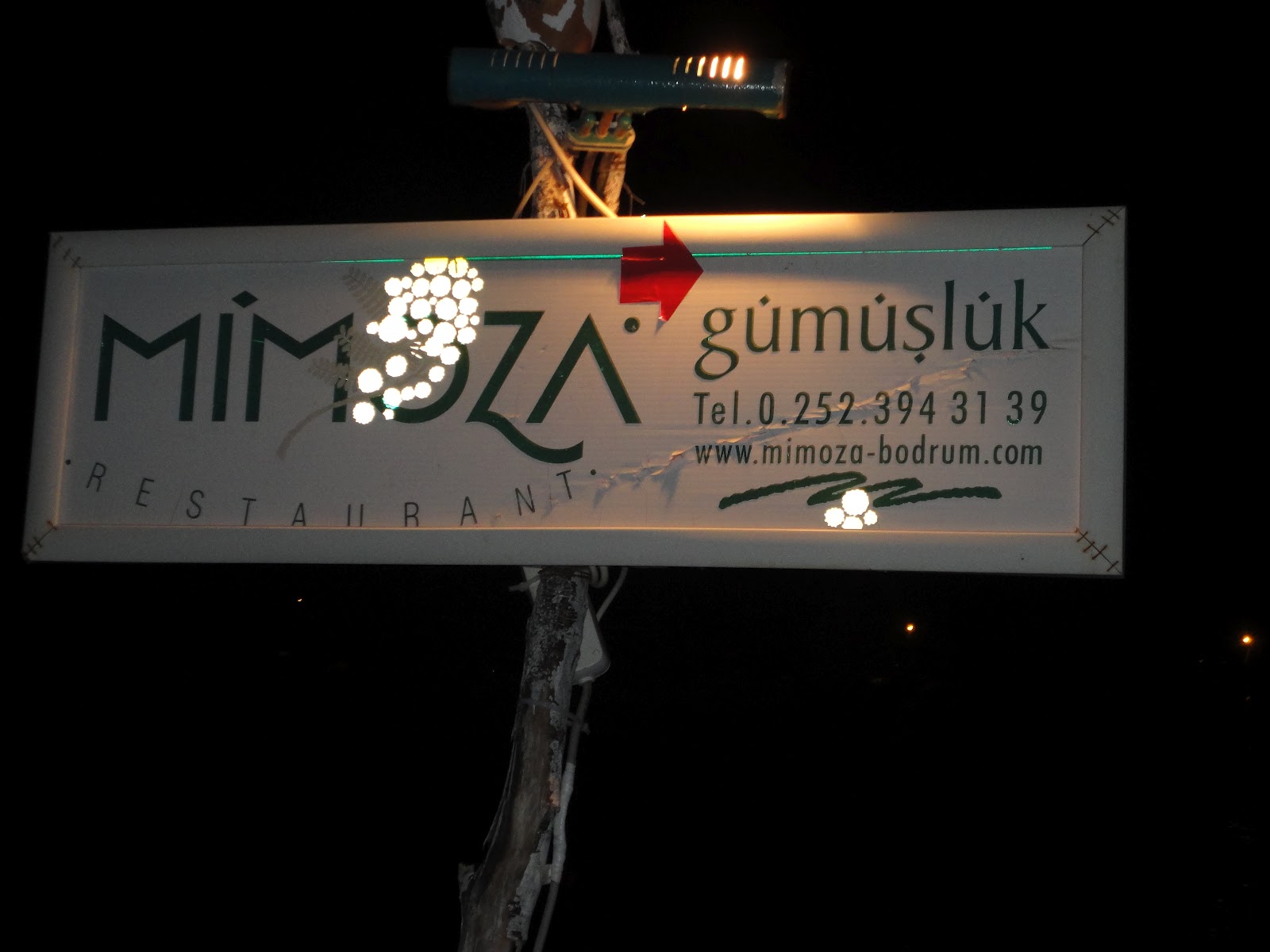 RÜYA MEKAN MİMOZA....BODRUM... | Nurlumutfakta