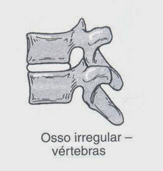 BIOMECÂNICA DO MOVIMENTO HUMANO: CONSIDERAÇÕES ESQUELÉTICAS SOBRE O ...