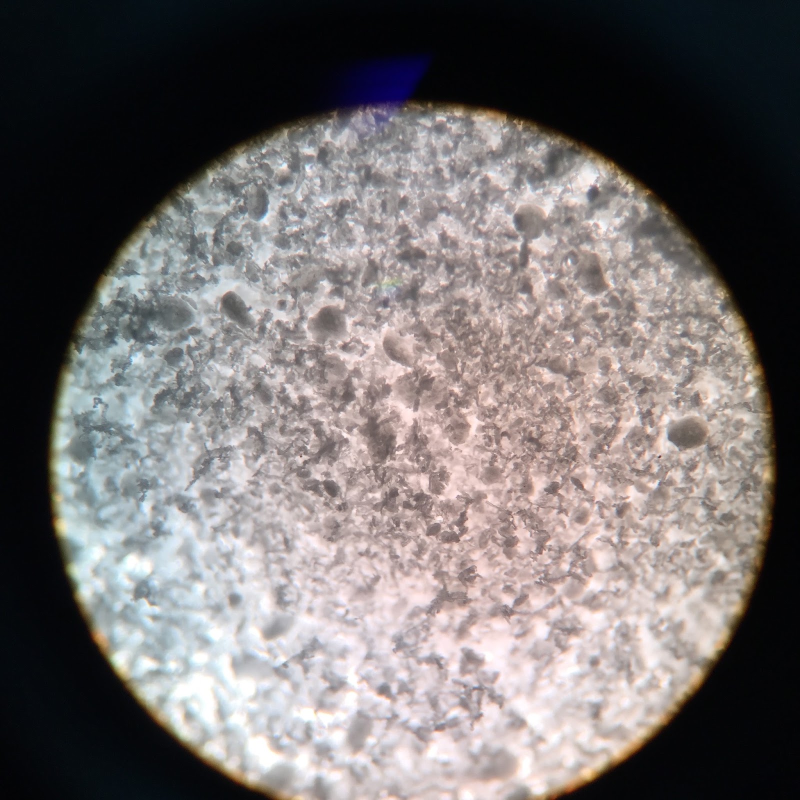NFNF1213 Physicochemical Lab Report: Lab 4 : Part B (Particle Size and ...