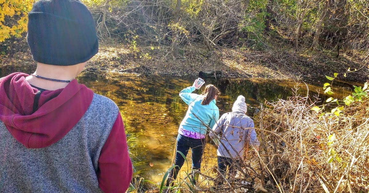 Writing: Day 258: November 25, 2016 Standing Rock Slipped by Me