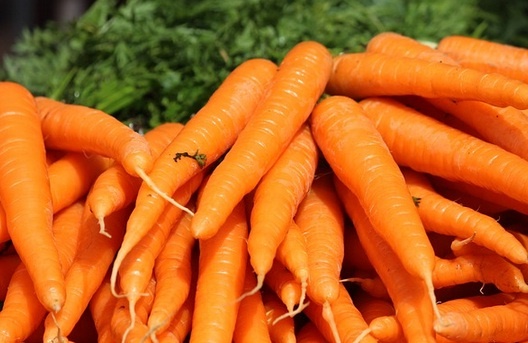 13 Manfaat Dan Khasiat Kandungan Wortel | Bumil Balita