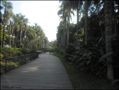 Mundo das Plantas : Jardim Botânico de São Paulo, Botanical Garden of ...