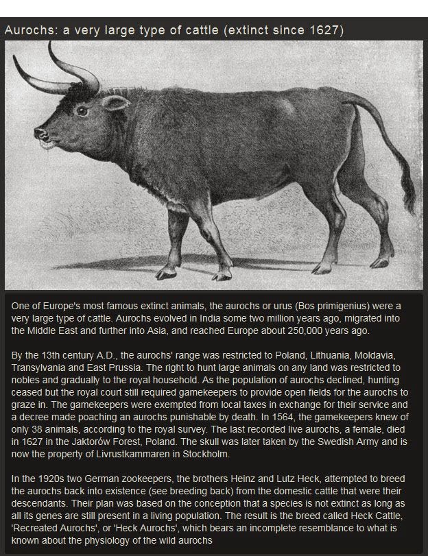 Amazing Extinct Animals ~ epix