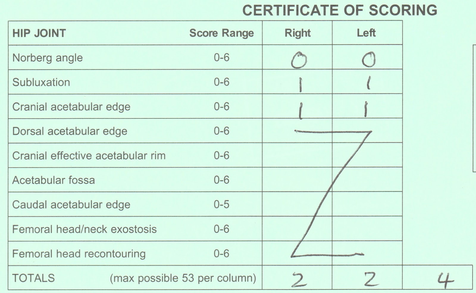 Adventures in Smallholding: Our PennHIP Experience
