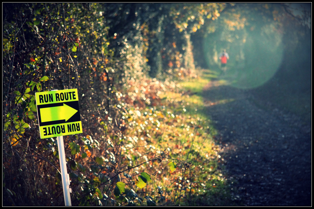 blog7t: Riddlesdown parkrun course description (out of date)