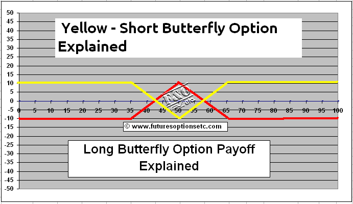 Butterfly Options Trading Explained: Example & Payoff Function: Options ...