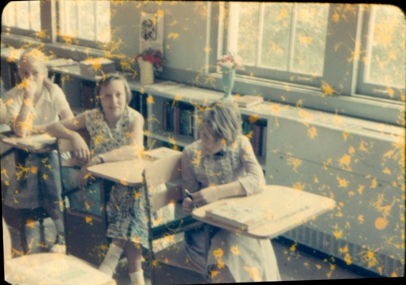 12 Incredible Color Photos That Capture Activities From an Elementary ...