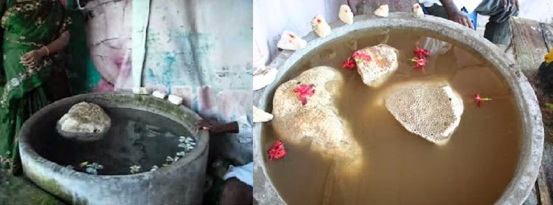 The Amazing World: Floating Stones - Rameshwaram, Tamil Nadu
