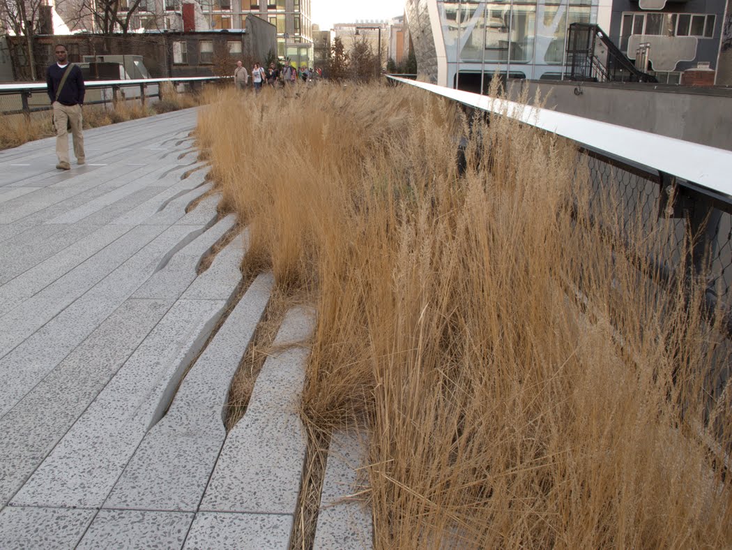 Something Between Want and Desire: The High Line
