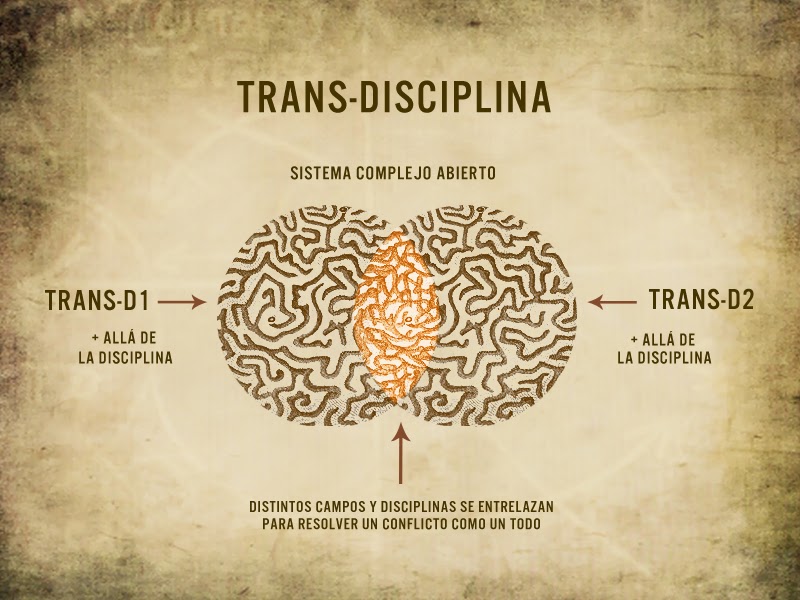 Complejidad en Gerencia y Toma de Decisiones: Transdisciplinariedad en ...