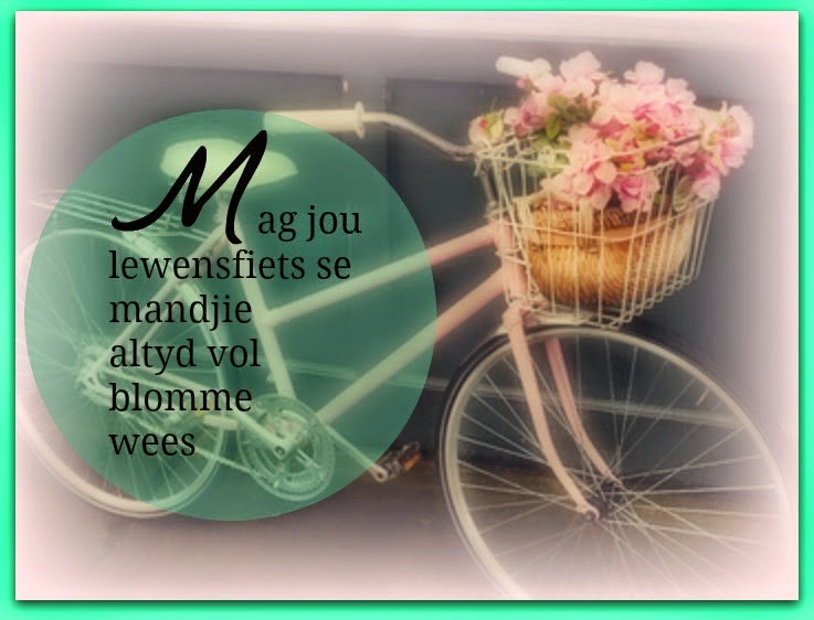 Dutoitspan Kimberley: Gee blomme...